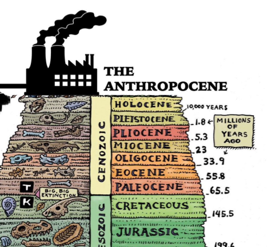 THE ANTHROPOCENE - Musical Scalpel